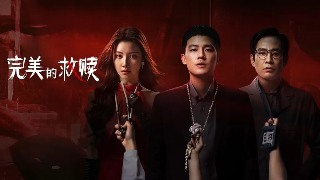 The Perfect Suspect (2025)- Full Synopsis & Episode Guide